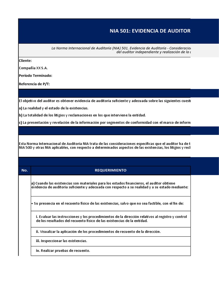 Nia 501 | PDF | Auditoría | Contralor