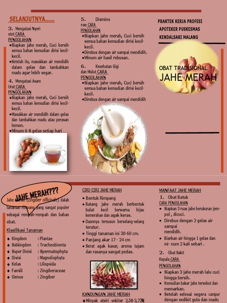 Leaflet Jahe Merah | PDF