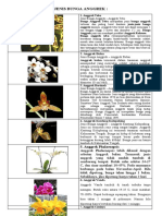 Anggrek Mekar Pontianak | PDF