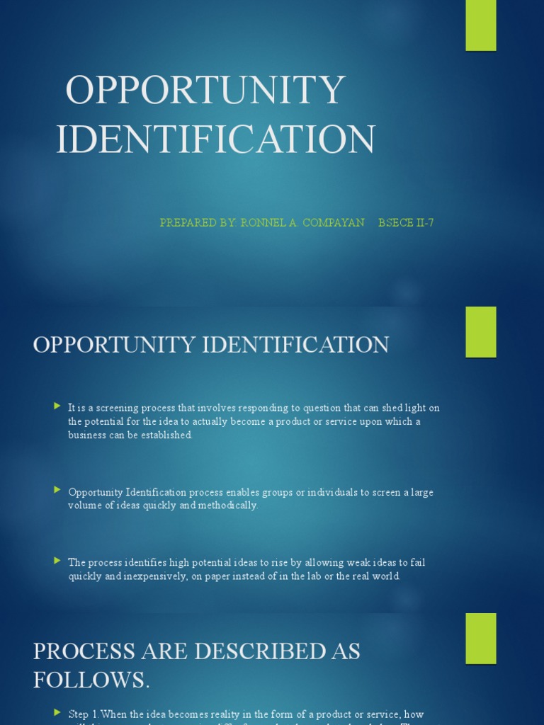 Opportunity Identification Report | PDF | Risk | Market (Economics)