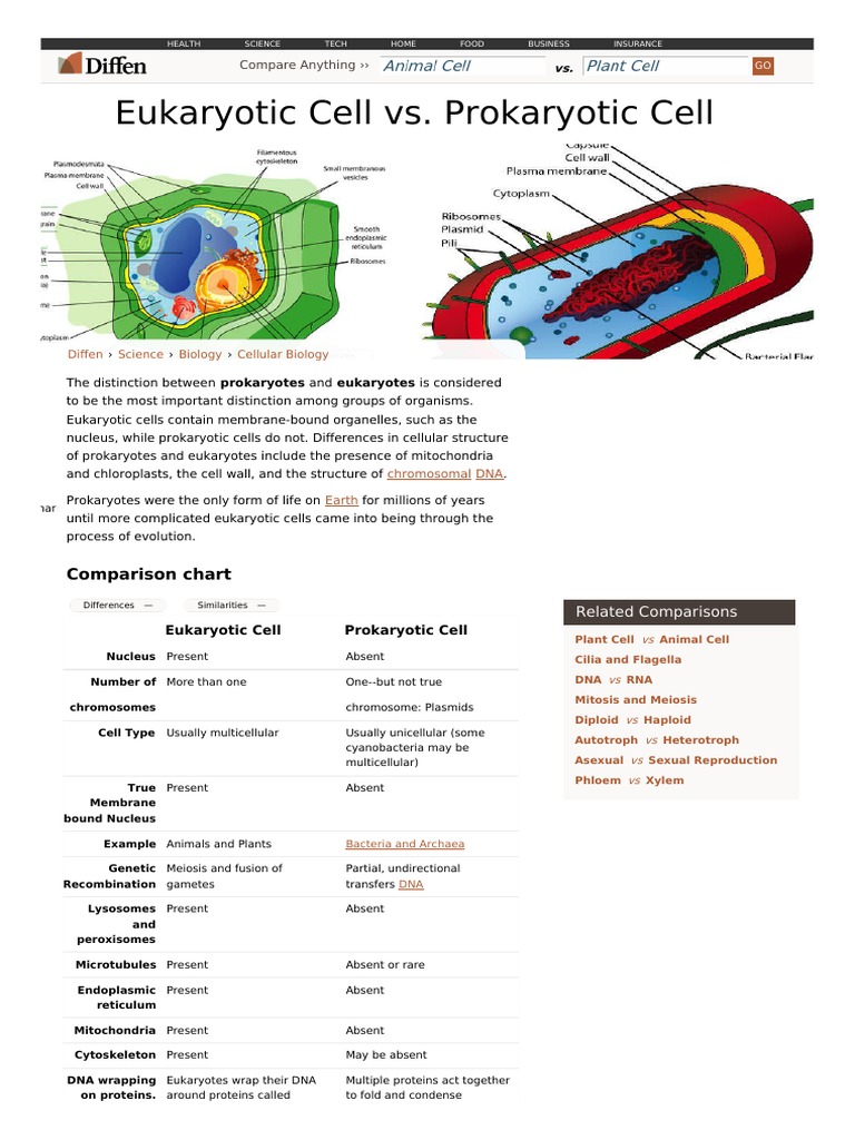 Eukaryotic Cell vs. Prokaryotic Cell: Comparison Chart | PDF | Cell ...