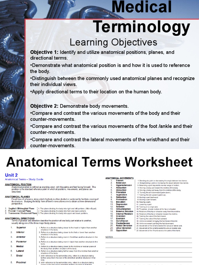 1P - Medical Terminology of Anatomical Positions | PDF | Anatomical ...
