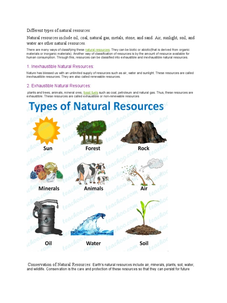 Natural Resources | PDF | Resource | Natural Environment