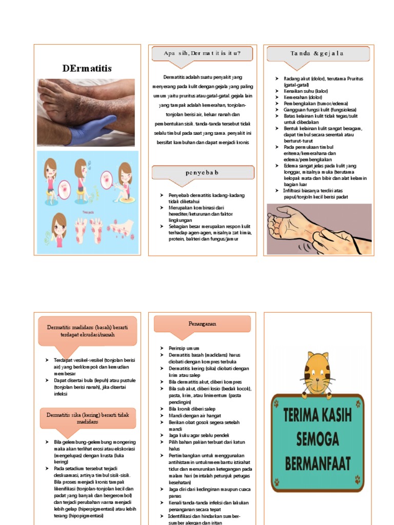 Penanganan Dermatitis dan Gejalanya | PDF