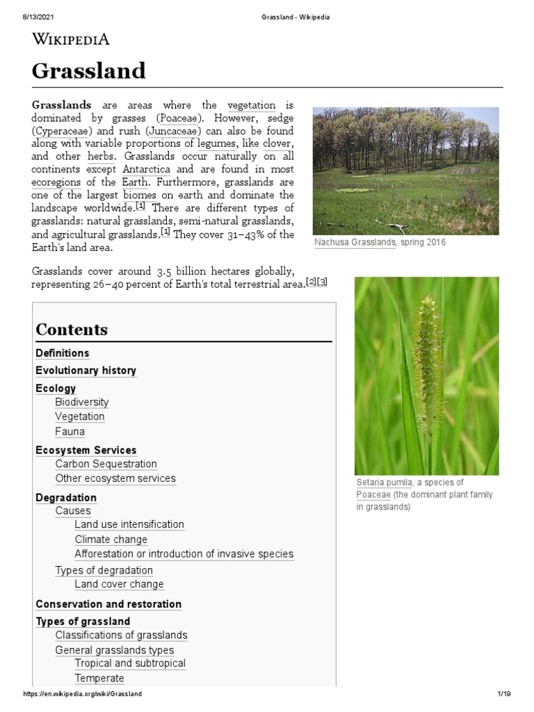 Grassland - Wikipedia | PDF | Grassland | Ecology
