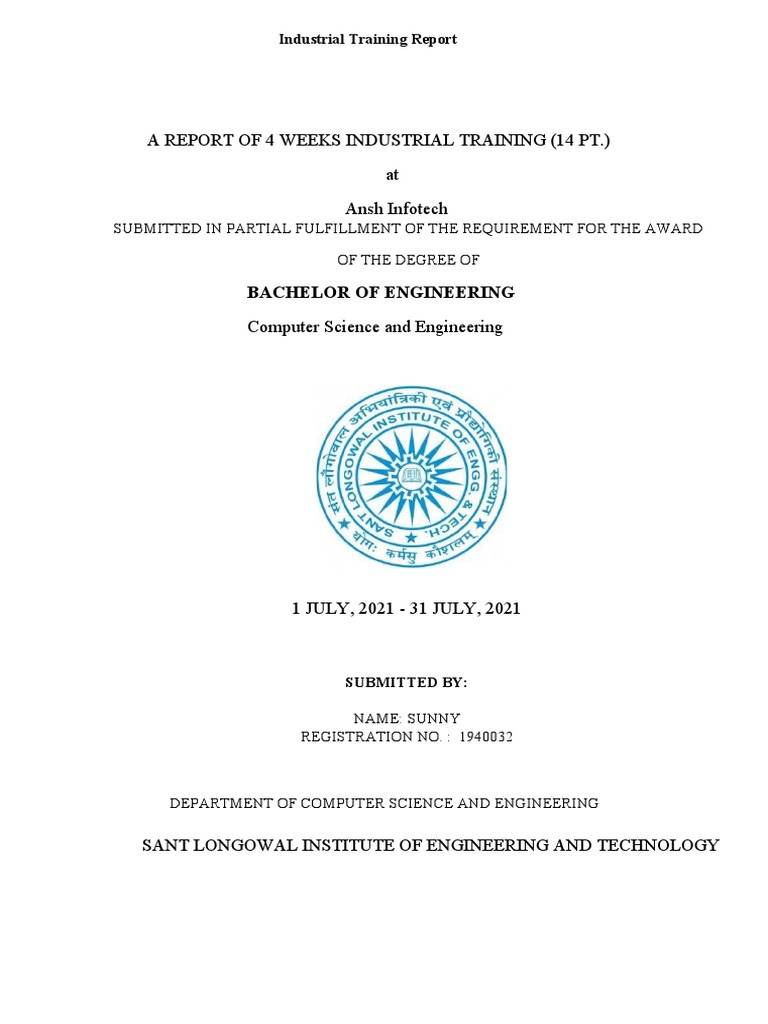 Industrial Training Report | PDF | Computing | Information Technology