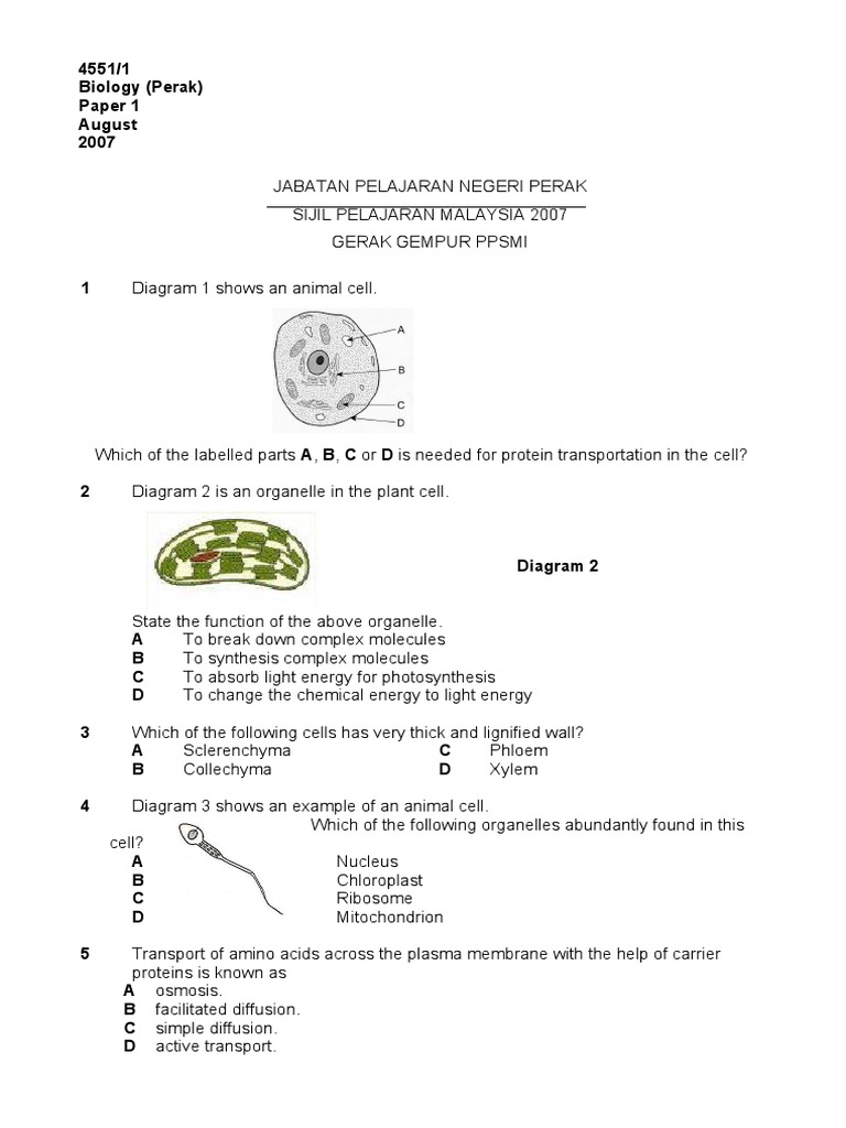 Bio 07 K1 (Perak Gempur) | Download Free PDF | Genetic Variation | Cell ...