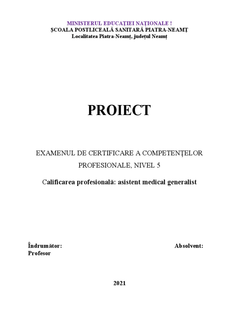 Model Proiect Examen de Certificare | PDF