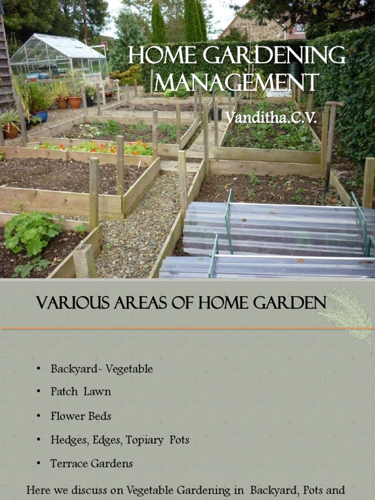 Home Gardening Management | PDF | Compost | Vegetables