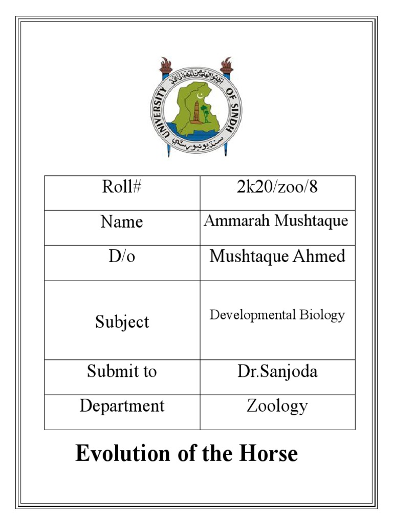Evolution of The Horse Assingment | PDF | Horses