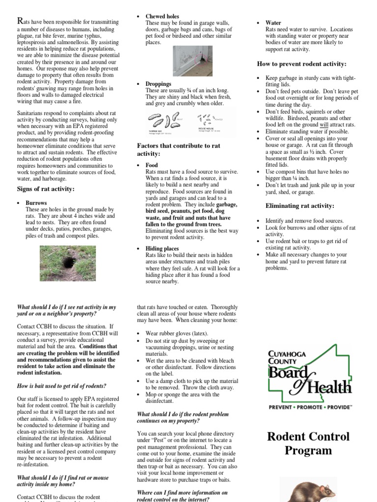 Rodent Control Pamphlet 2-26-10 | PDF | Rodent | Rat