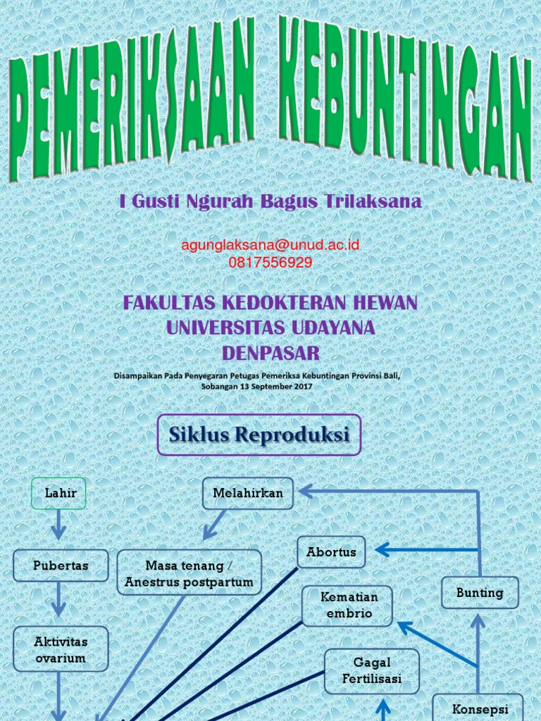 Ciri Ciri Perbaan Palpasi Rektal | PDF | Kesehatan Holistik
