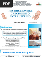 Efecto Poseiro | PDF | Placenta | Feto