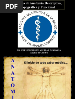 (Anatomía) Triángulos de Pirogoff y Béclard | PDF | Medicina CLINICA ...