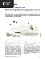 COPPUS Steam Turbines PRODUCT GUIDE | PDF | Valve | Bearing (Mechanical)