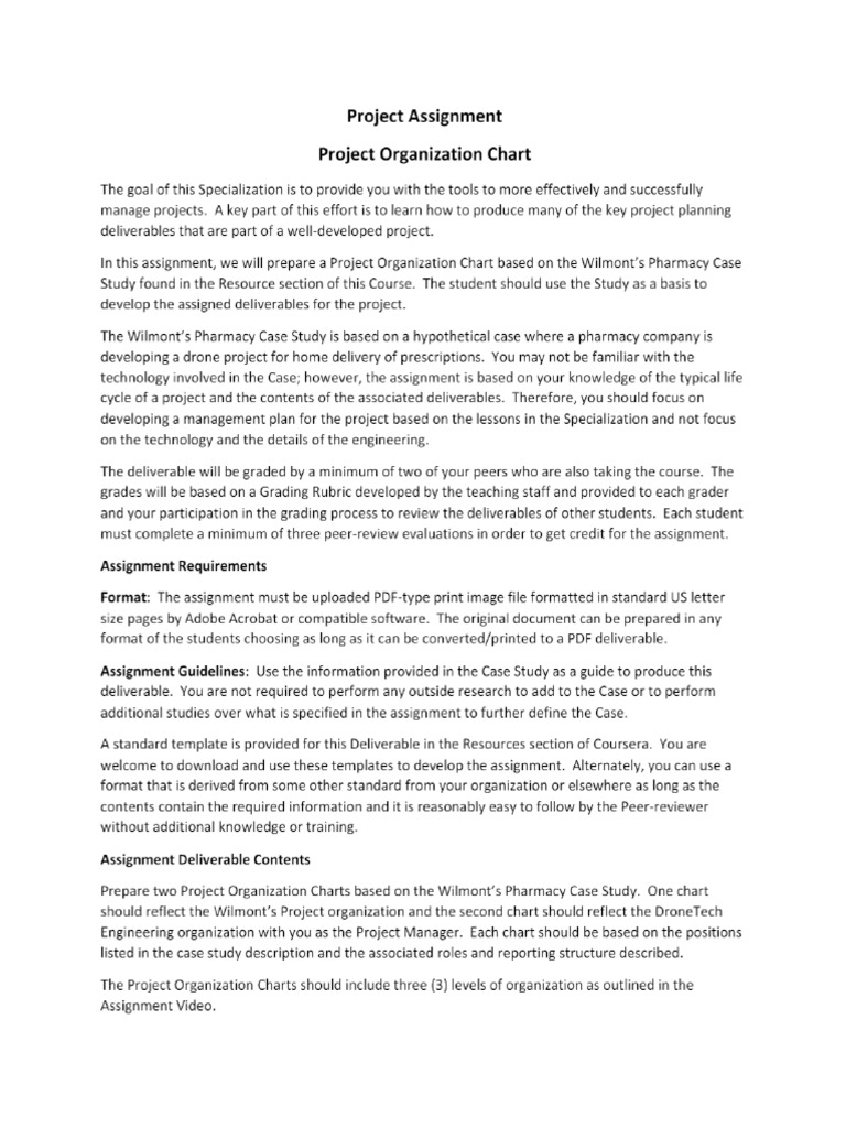 Project Assignment Project Organization Chart | PDF