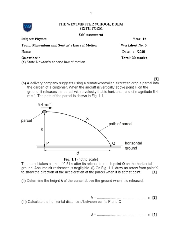 WS 5 Momentum and Newton's Laws of Motion (214292) - 2 | PDF | Mass | Force