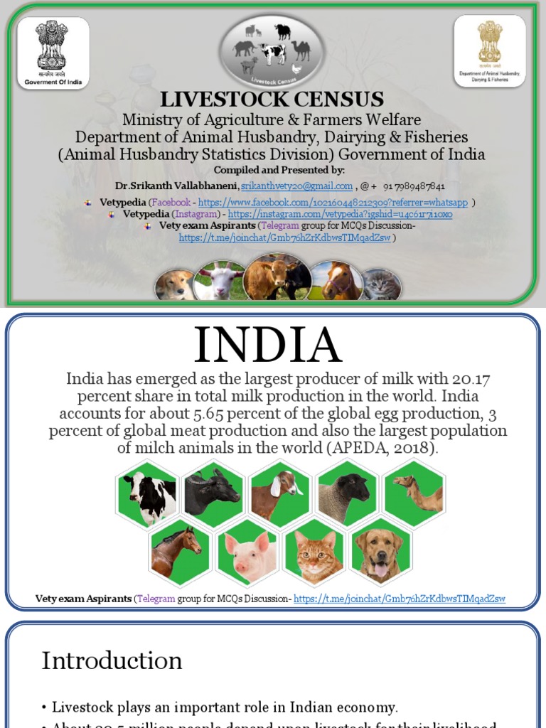 Livestock Census | PDF | Livestock | Sheep