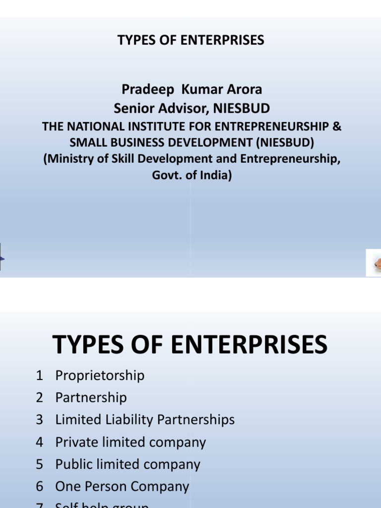 D3s3-Types of Enterprises | PDF | Law | Limited Liability Partnership