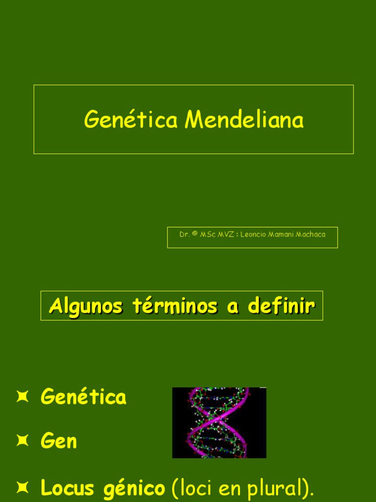 Genética Mendeliana Guia en Clase | PDF | Epistasis | Dominancia (Genética)