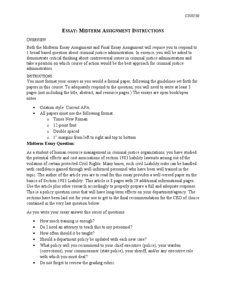 Essay Midterm Assignment Instructions | PDF | Essays
