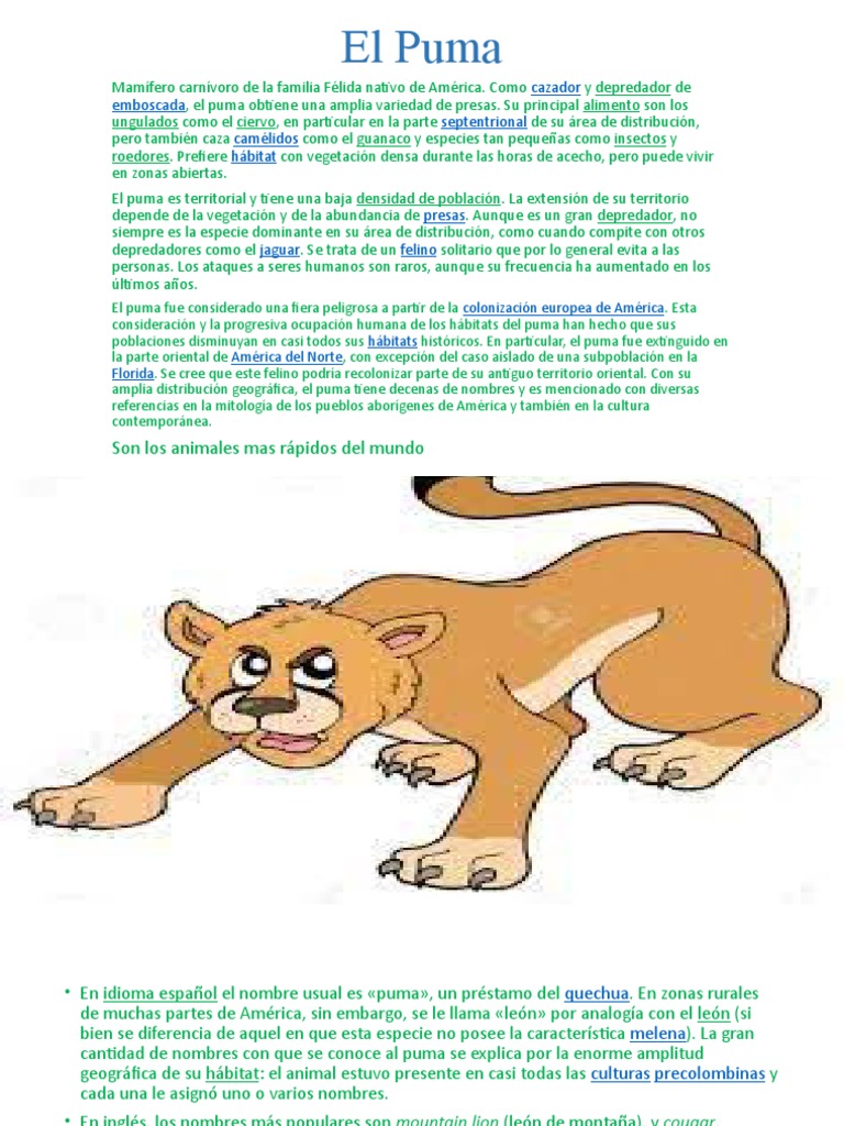 El Puma | PDF | Puma