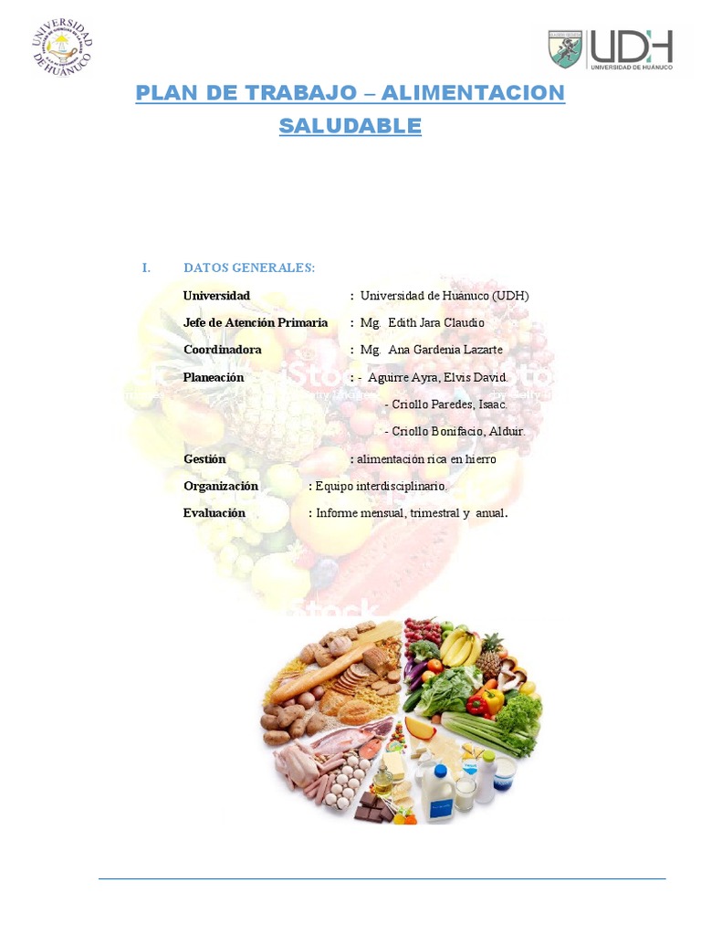 Plan de Trabajo... | PDF | Nutrición | Dieta y nutrición