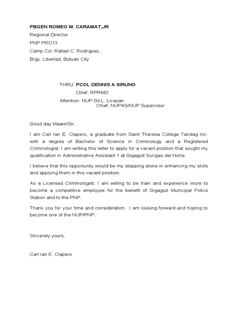 PNP Application Paper | PDF