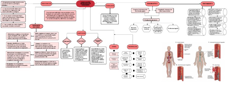 Criterios y Fisiopatología del CID | PDF | Coagulación | Fluidos corporales