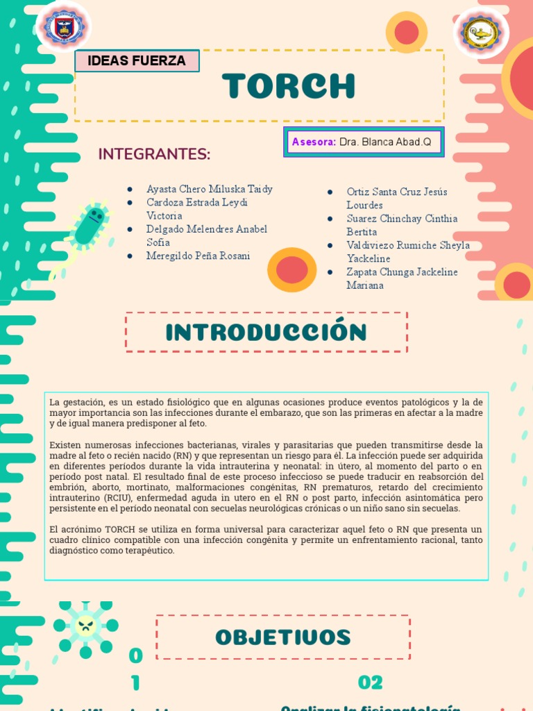 TORCH | PDF | Enfermedades y trastornos | Salud pública