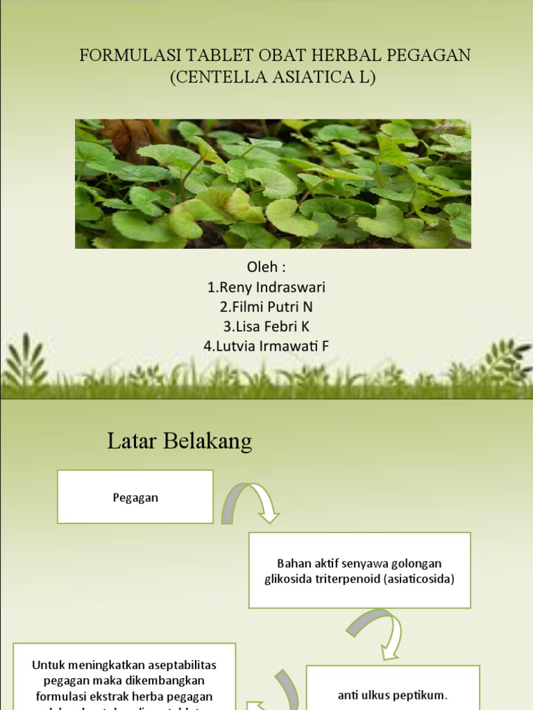 Formulasi Tablet Obat Herbal Pegagan (Centella Asiatica | PDF | Sains & Matematika | Kesehatan ...