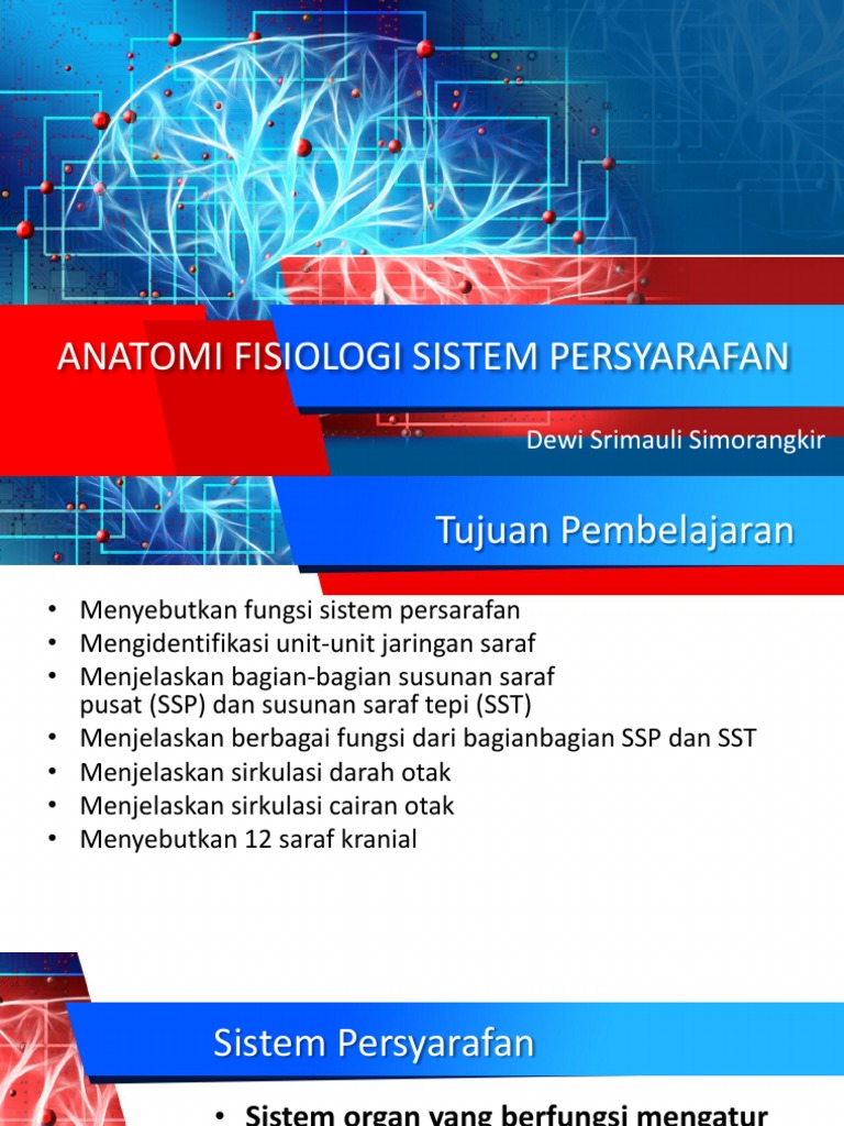 Anatomi Fisiologi Sistem Persarafan - 1 | PDF