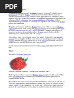 Strawberry Plant Anatomy for Kids | PDF | Fruit | Strawberry