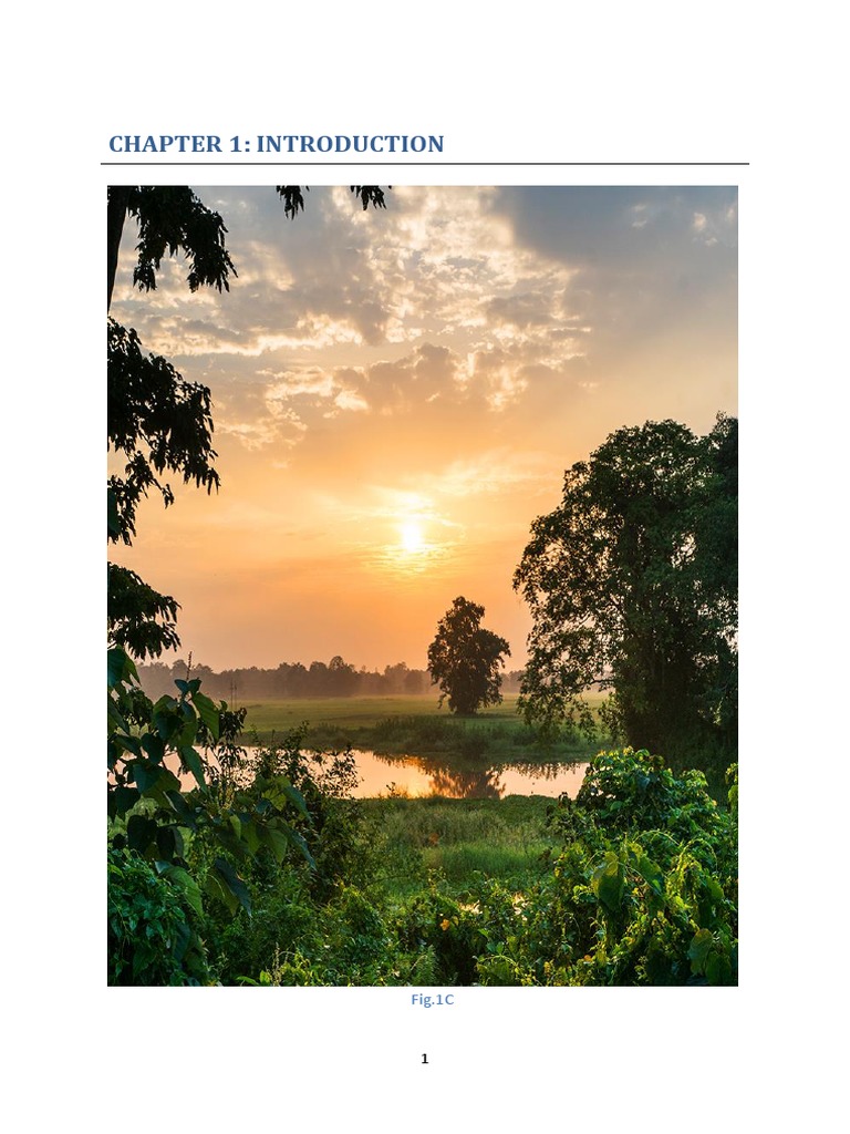 Chapter 1: Introduction: Fig.1C | PDF | Loom | Weaving