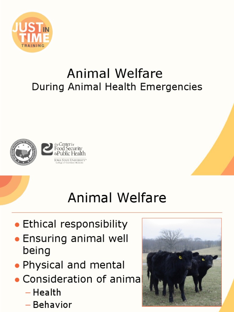 10 Animal Welfare Overview JIT PPT FINAL | PDF | Animal Welfare | Behavior