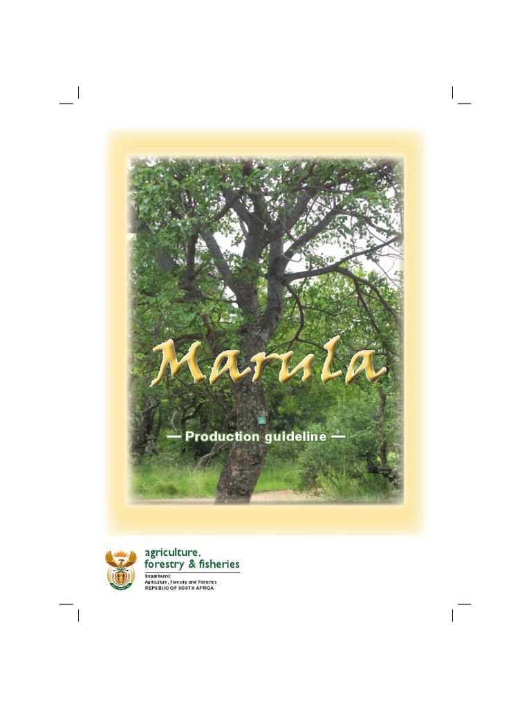 Marula Production Guidelines 2010 | PDF | Grafting | Trees