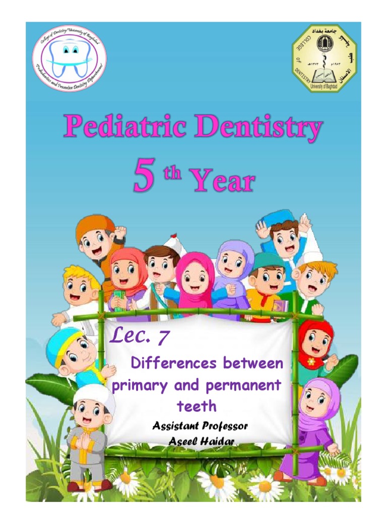 7-Differences Between Primary and Permanent Teeth | PDF | Tooth ...