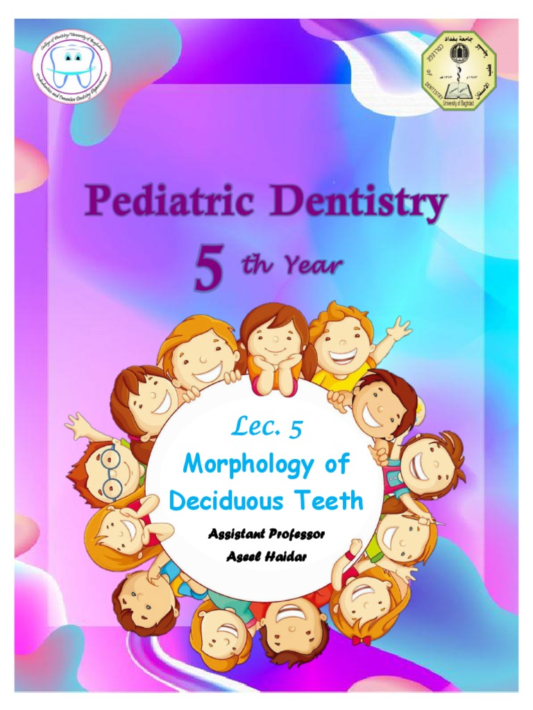 5-Morphology of Deciduous Teeth | PDF | Dental Anatomy | Dentistry Branches