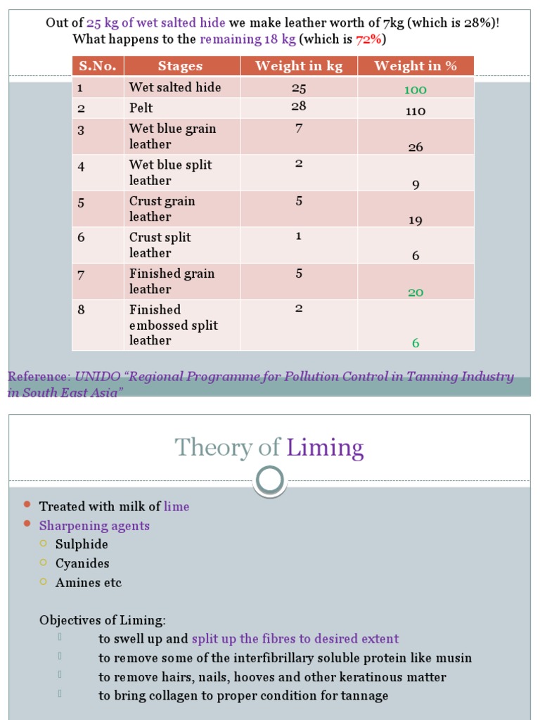 2.1.c.ii. Theory of Liming and Unhairing | PDF | Leather | Materials