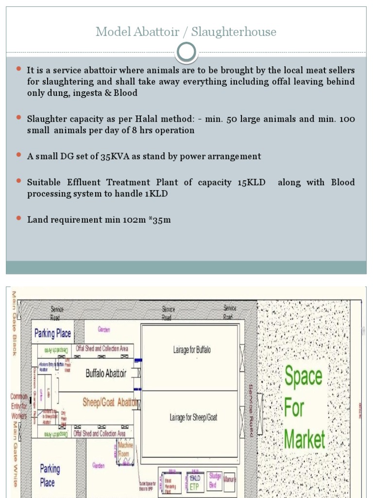 Halal Abattoir Design and Operations Guide | PDF | Slaughterhouse ...