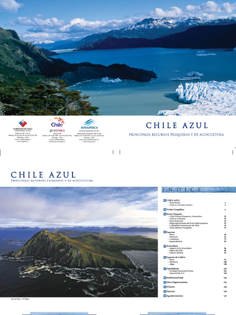 Chile Azul | PDF