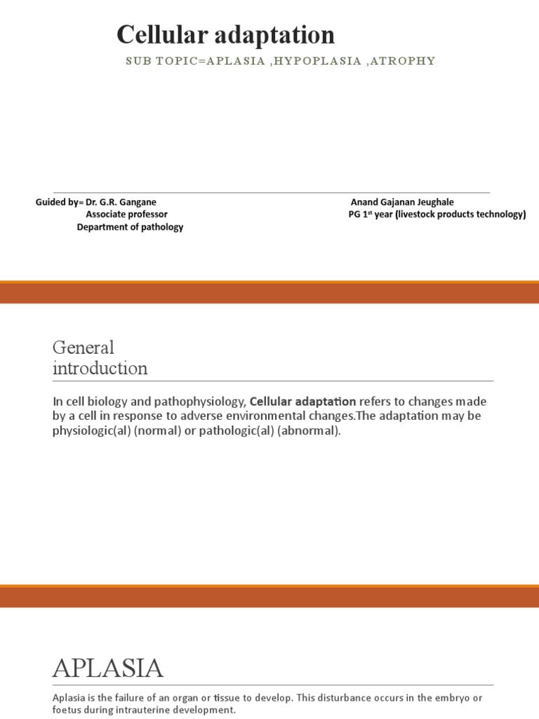 Cellular Adaptation: Sub Topic Aplasia, Hypoplasia, Atrophy | PDF ...