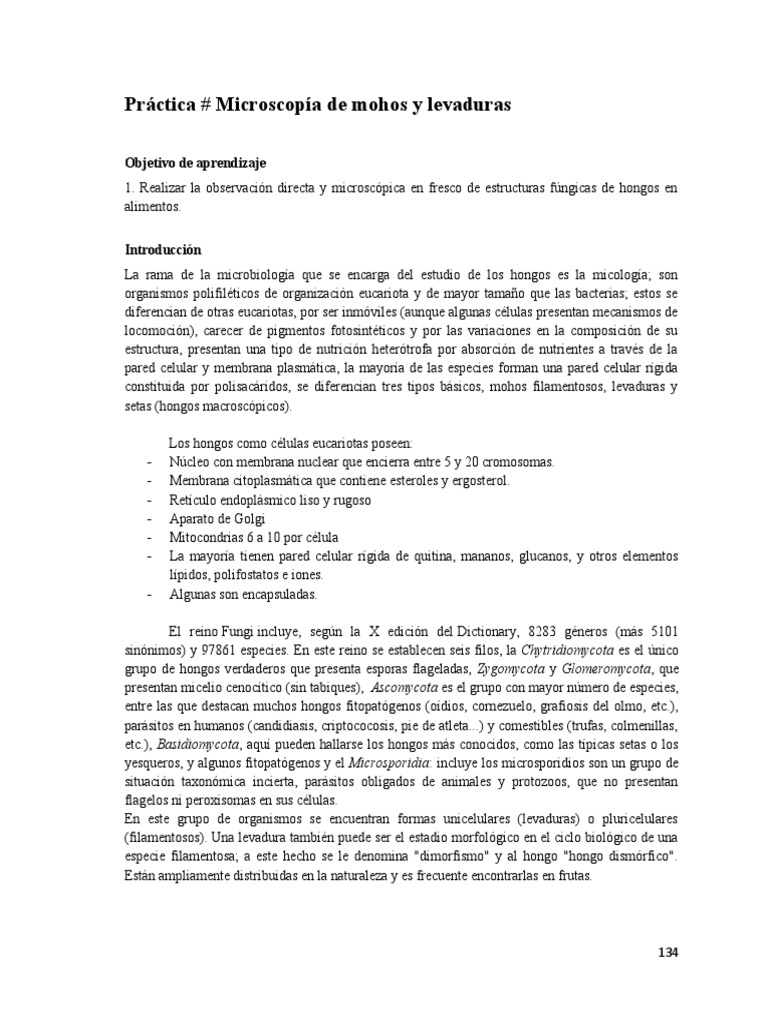 Microscopía de Mohos y Levaduras | PDF | Hongo | Biología Celular)