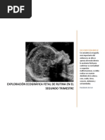 Clasificación de Grados de Placenta Grannum | PDF | Placenta | Parto