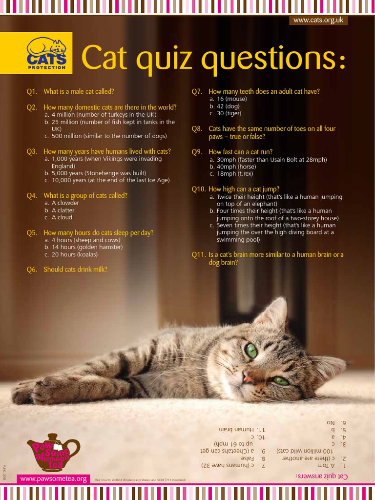 Pawsome Cat Quiz | PDF | Cats | Zoology