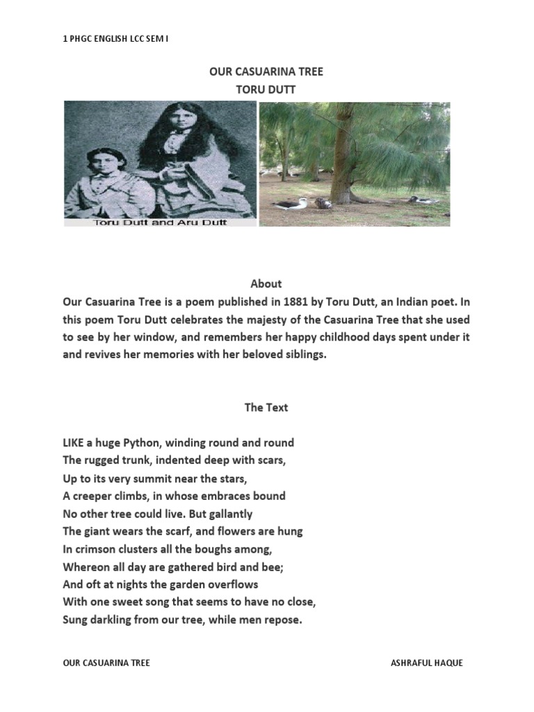 Our Casuarina Tree by Toru Dutt | PDF | Poetry