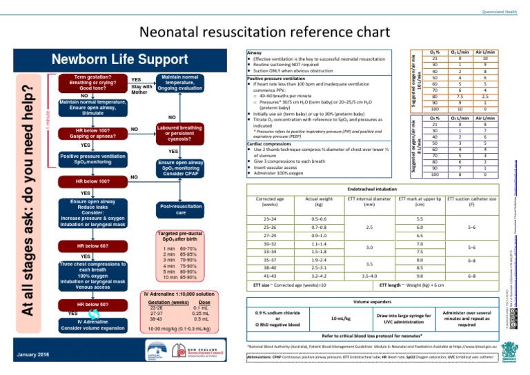 Neonatal Resuscitation Reference Chart: Newborn Life Support | PDF ...