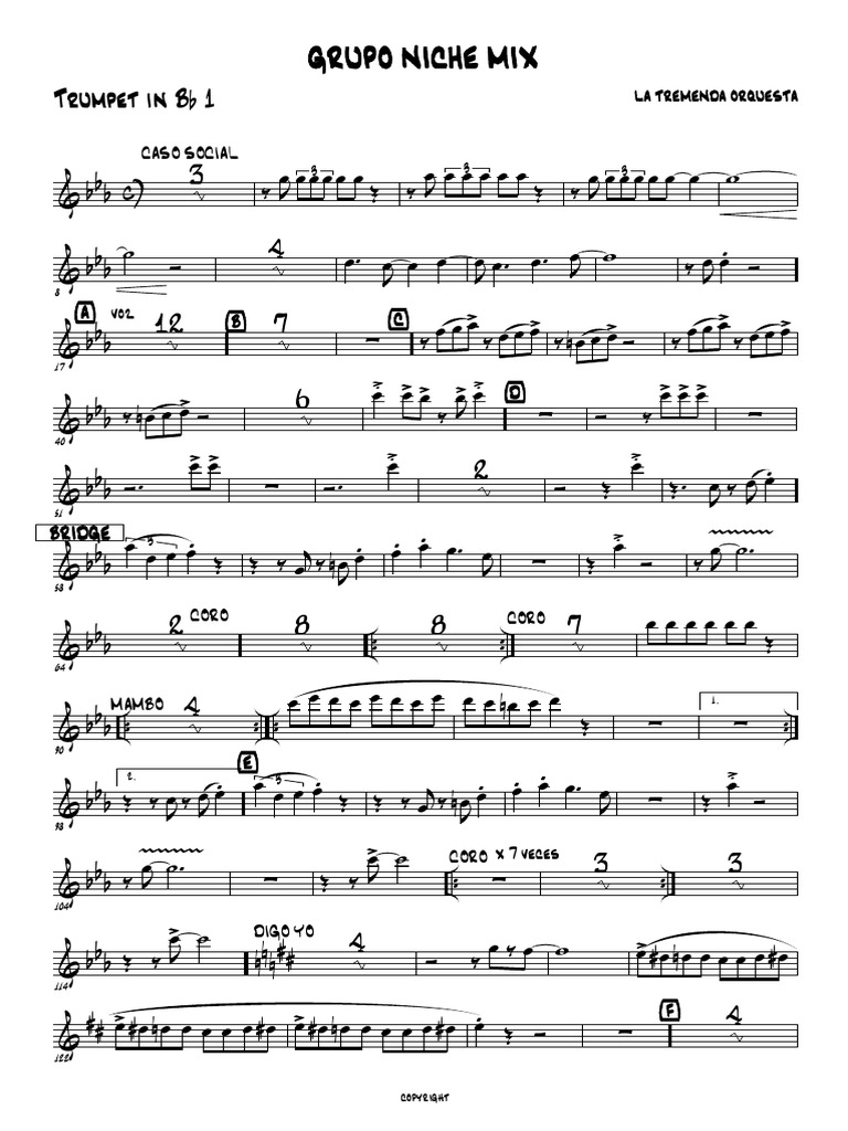 Grupo Niche Mix-Trompeta 1 | PDF | Voix humaine | Lexicologie