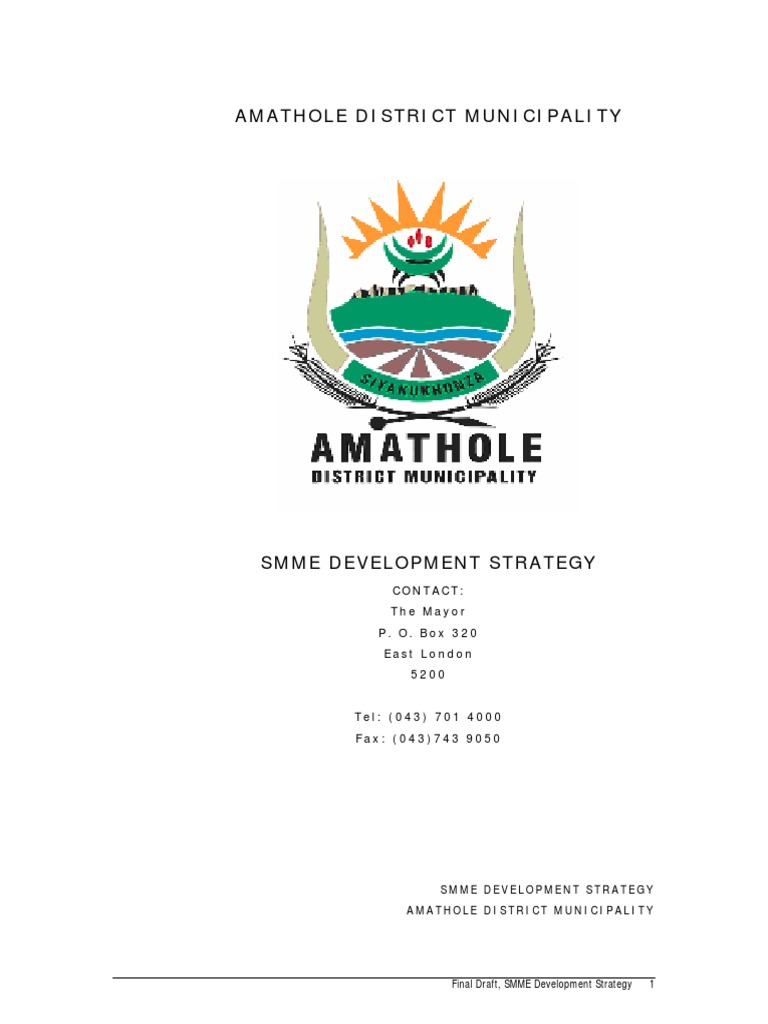 Amathole DM SMME Development Strategy | PDF | Gross Domestic Product ...