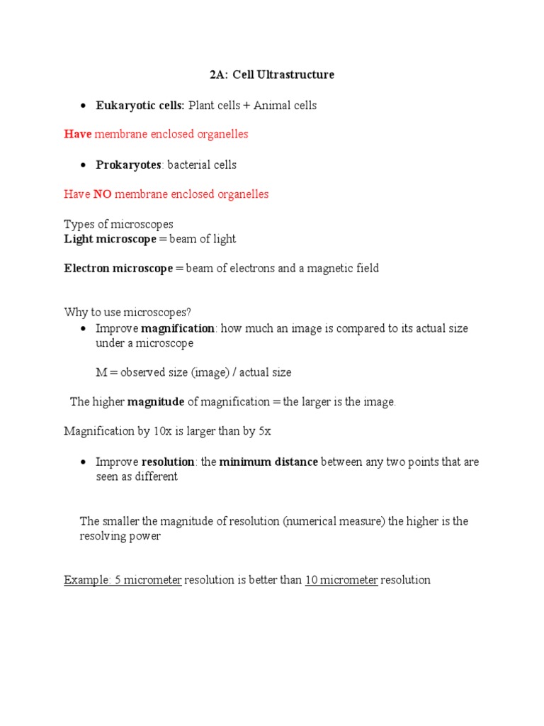 Cell Ultrastructure | PDF | Endoplasmic Reticulum | Cell (Biology)